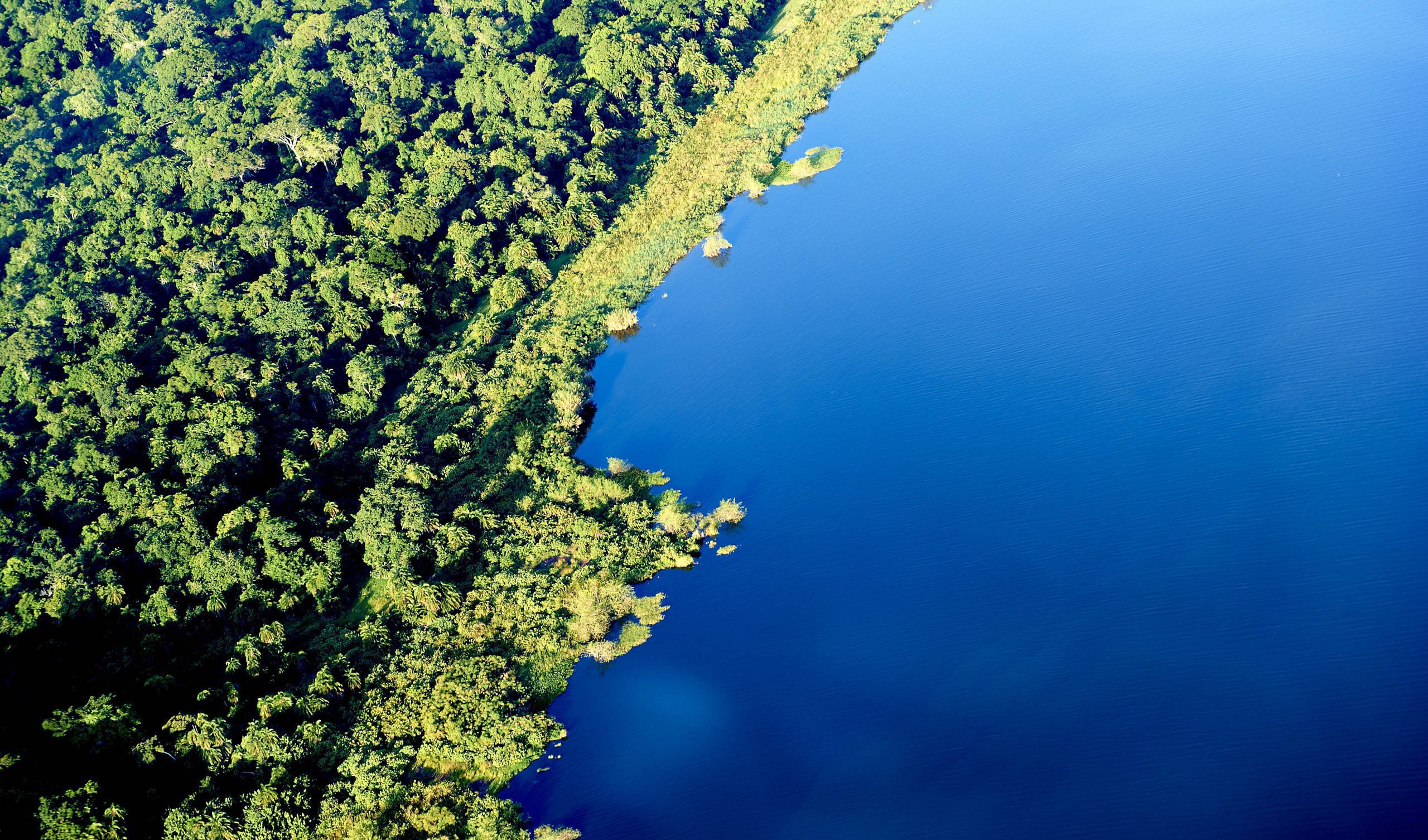 Rubondo Island National Park - Wilderness Moments